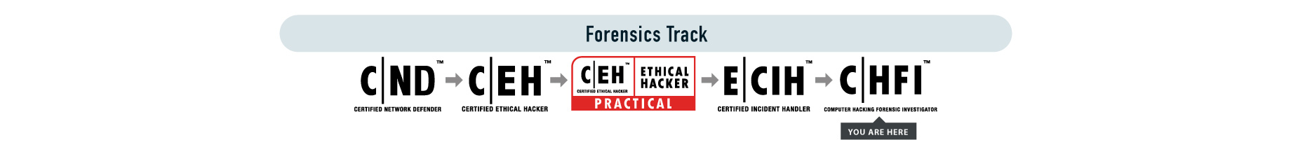 Computer Hacking Forensic Investigator | CHFI | EC-Council iClass