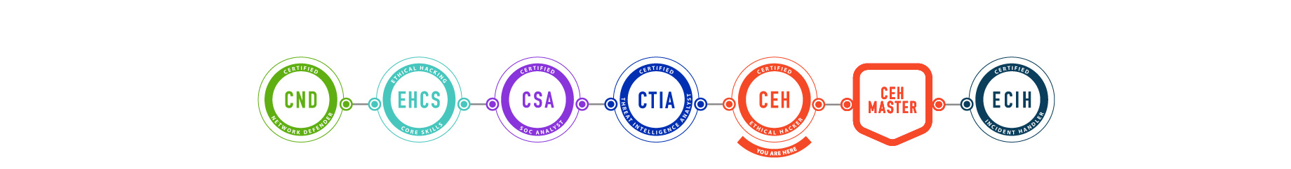 Certified Ethical Hacker | CEH