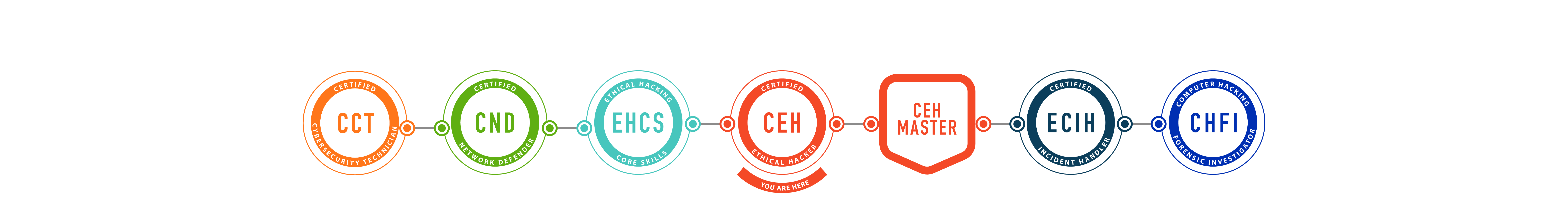 Certified Ethical Hacker Online Training | CEH Training