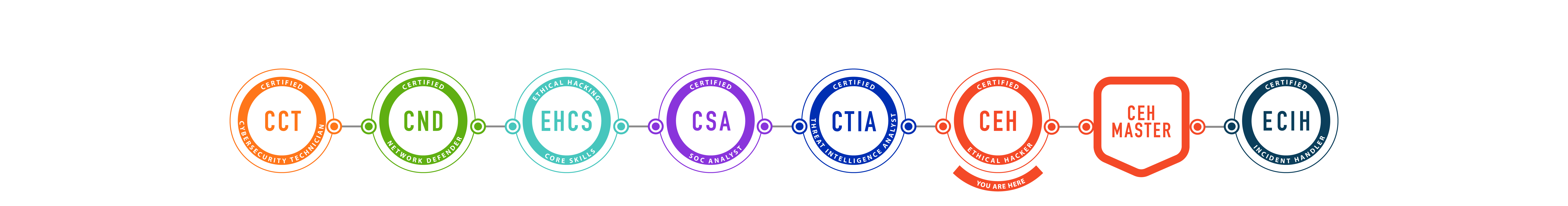 Certified Ethical Hacker Online Training | CEH Training